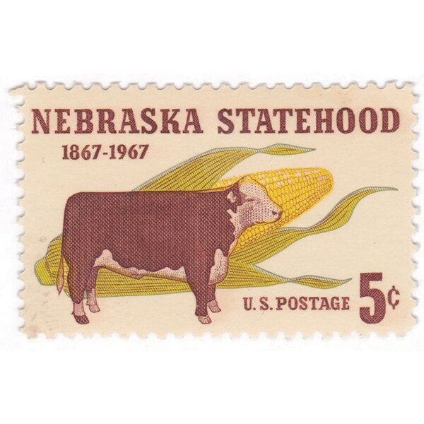Statehood - Etsy