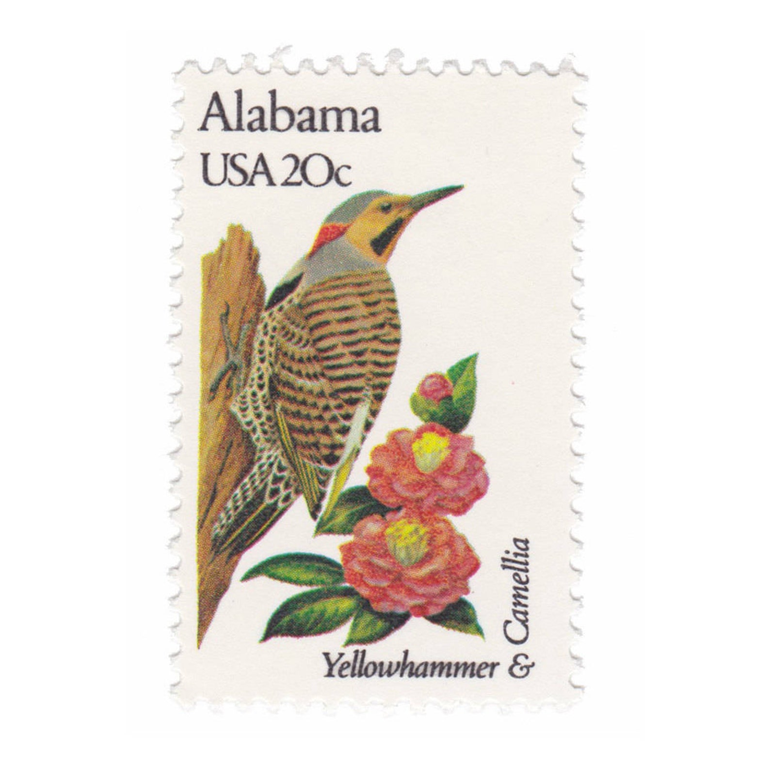 1982 20c State Bird And Flower Series Alabama Yellowhammer Etsy 1982-20c-state-bird-and-flower-series-alabama-yellowhammer-etsy