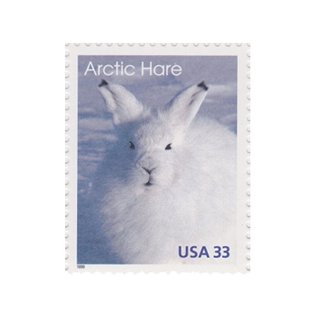 1999 33c Arctic Animals Hare Single Unused US Mint Postage - Etsy