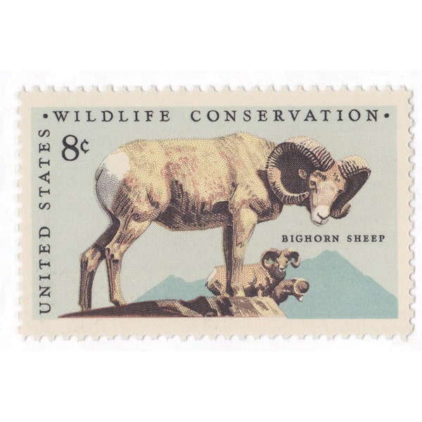Sheep Stamp - Etsy