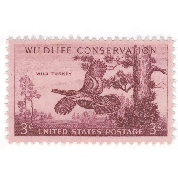 Wild Turkey Stamp - Etsy