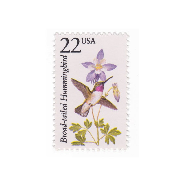 Hummingbird Stamp - Etsy