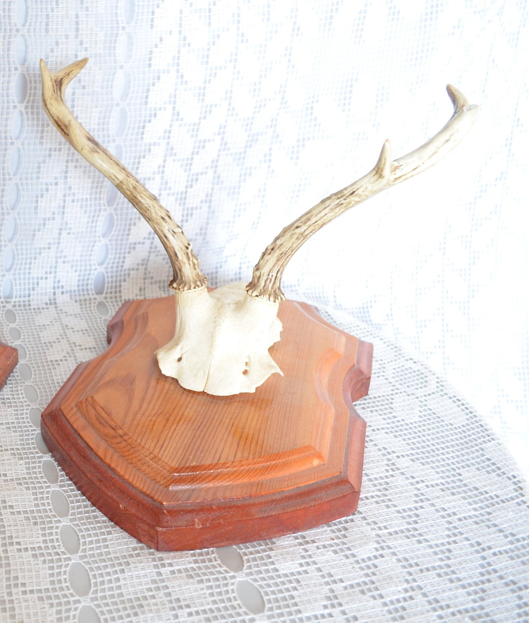 Vintage Deer Antlers Wall Decor Wall Mounted Jewelry Holder - Etsy