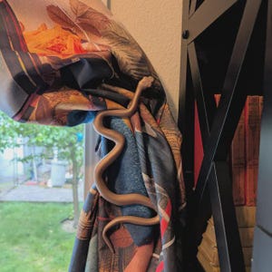 Snake Curtain Holdbacks Set of 2 | Serpent Tie Backs | Dark Academia ...