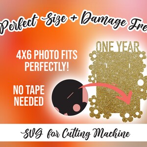 Groovy Daisy Birthday Month Photo Banner Decoration SVG Cricut Party ...