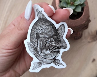 Bluegill Decal - Etsy