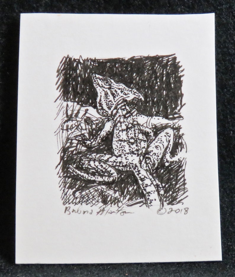 Lizard: Miniature Pen and Ink Drawing - Etsy