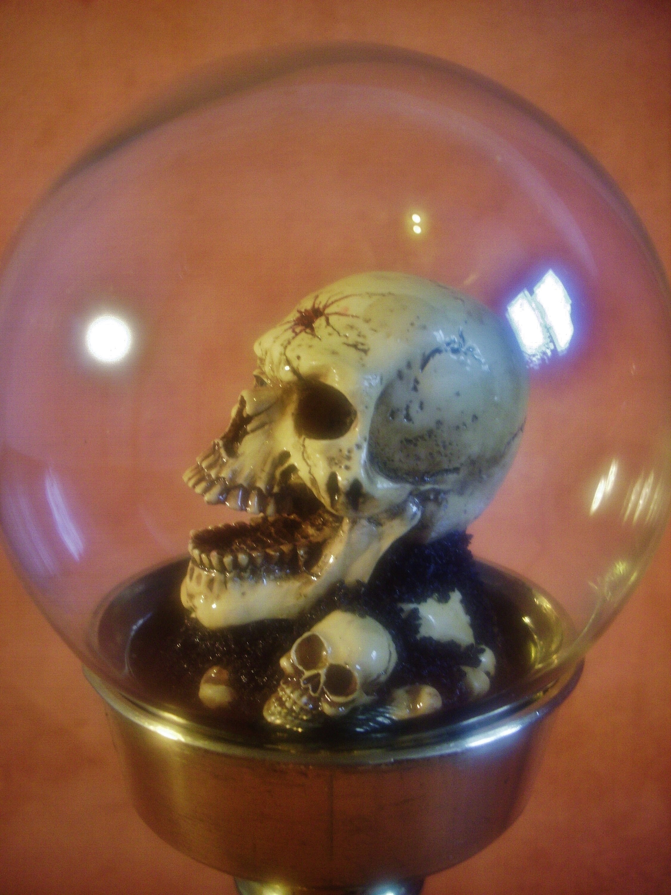 NESCIO Steampunk Glass Sphere Skull on Brass Pedestal 'memento Mori' - Etsy