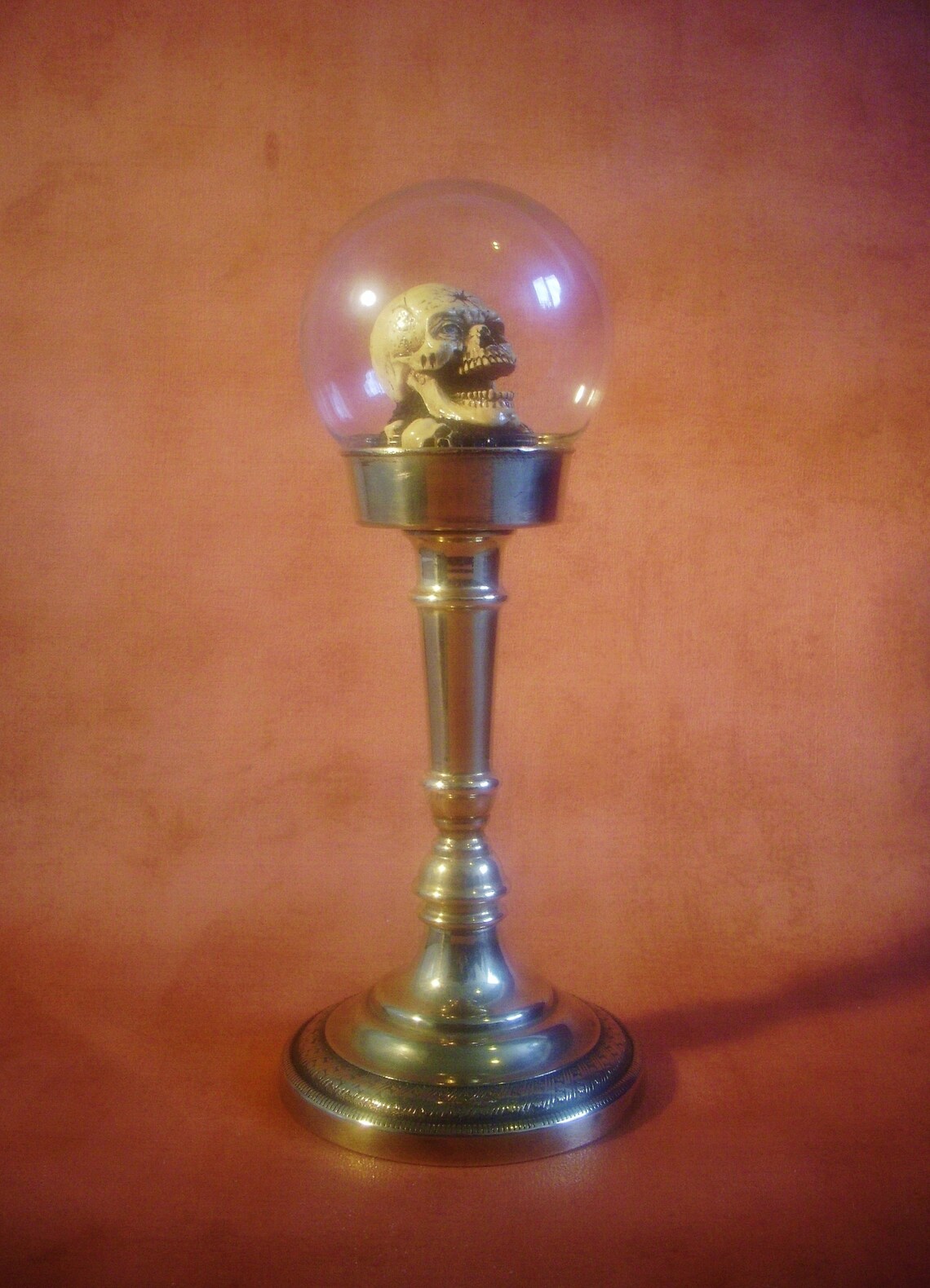 NESCIO Steampunk Glass Sphere Skull on Brass Pedestal - Etsy