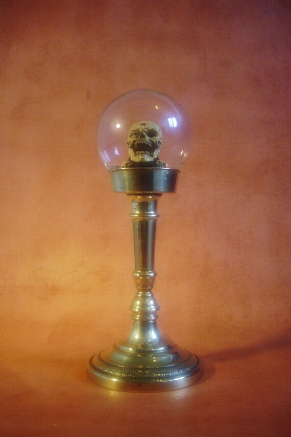 NESCIO Steampunk Glass Sphere Skull on Brass Pedestal - Etsy