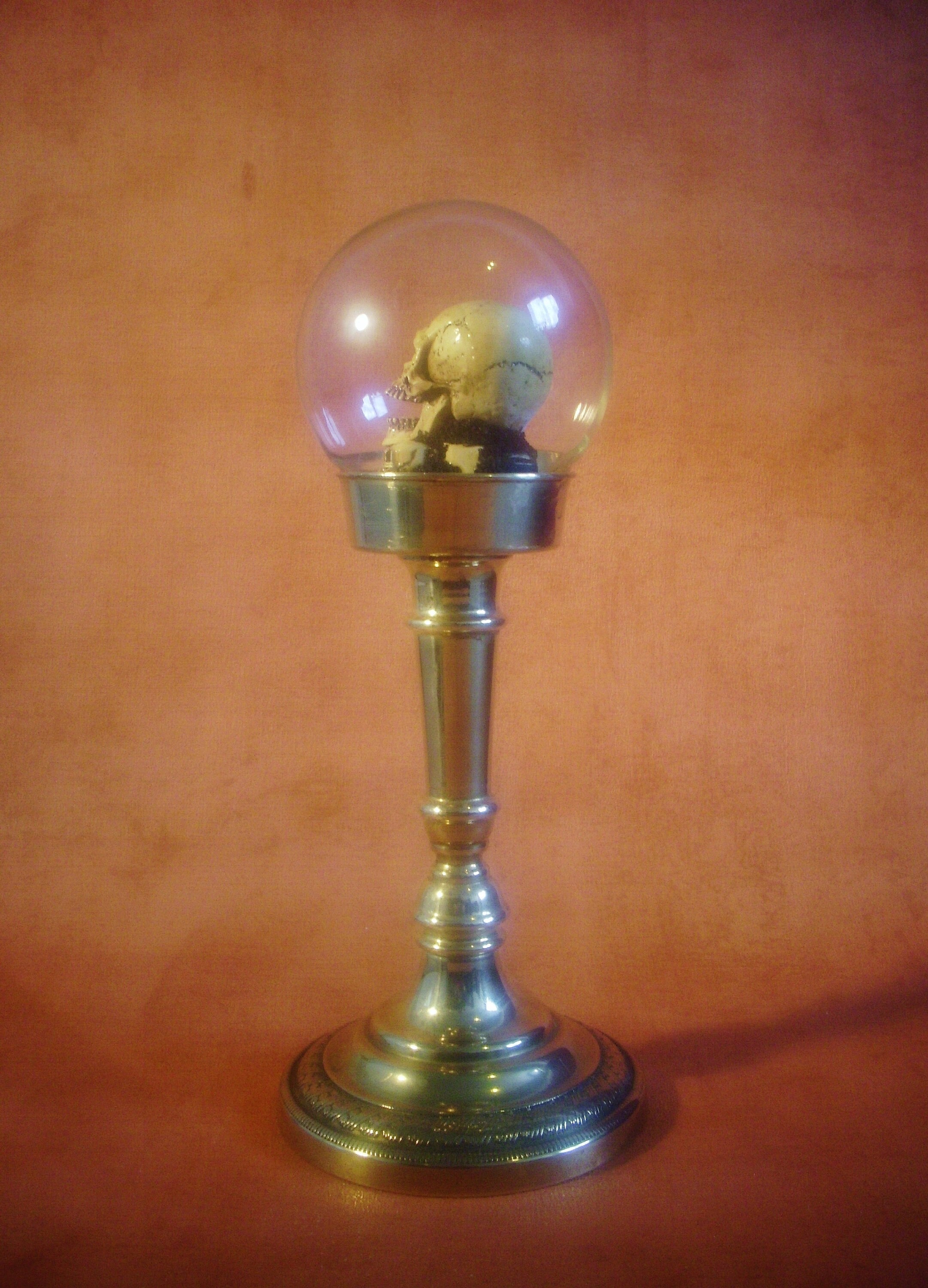NESCIO Steampunk Glass Sphere Skull on Brass Pedestal - Etsy