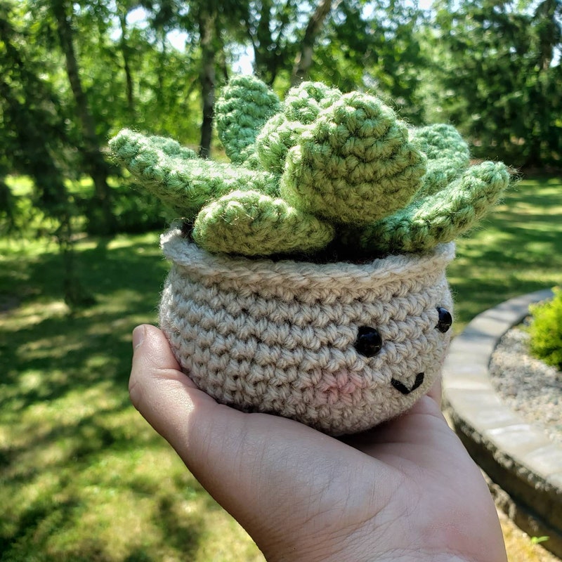 Knitted Succulents - Etsy