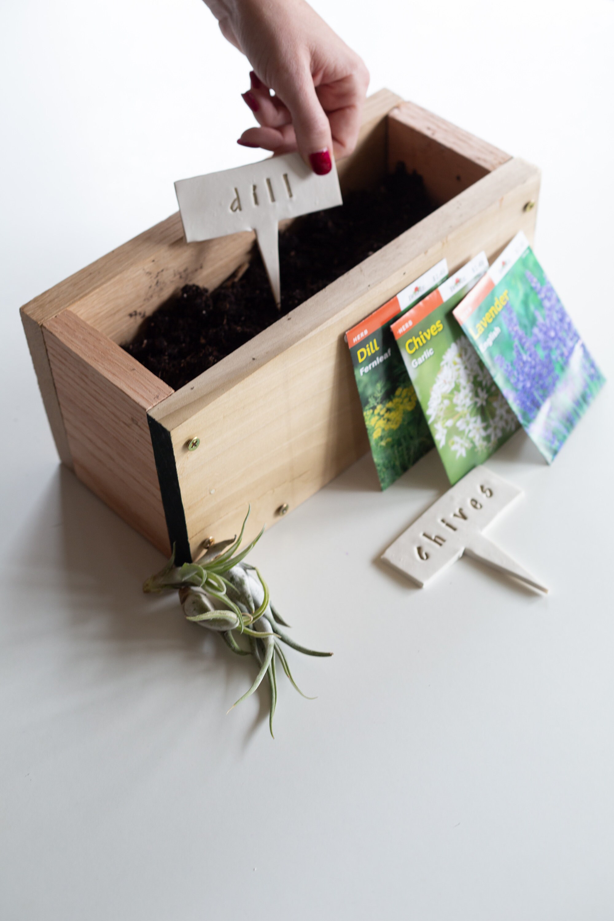 DIY Kit Herb Starter Gardening Kit With Wood Planter Box - Etsy