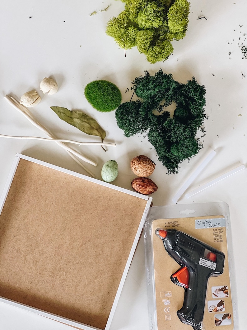DIY Kit Moss Wall Art Make Your Own Hanging Moss Wall - Etsy
