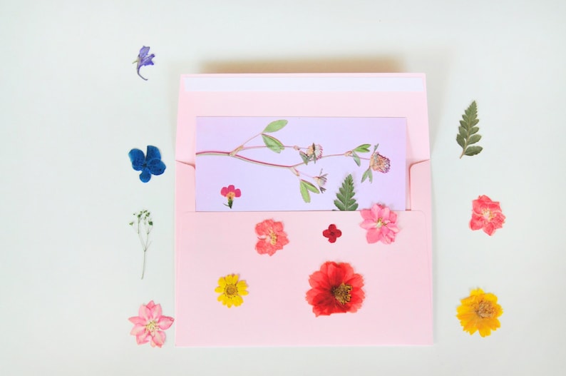 Pressed Flowers Pack With Pink Flower Greeting Card, Dried Flowers - Etsy