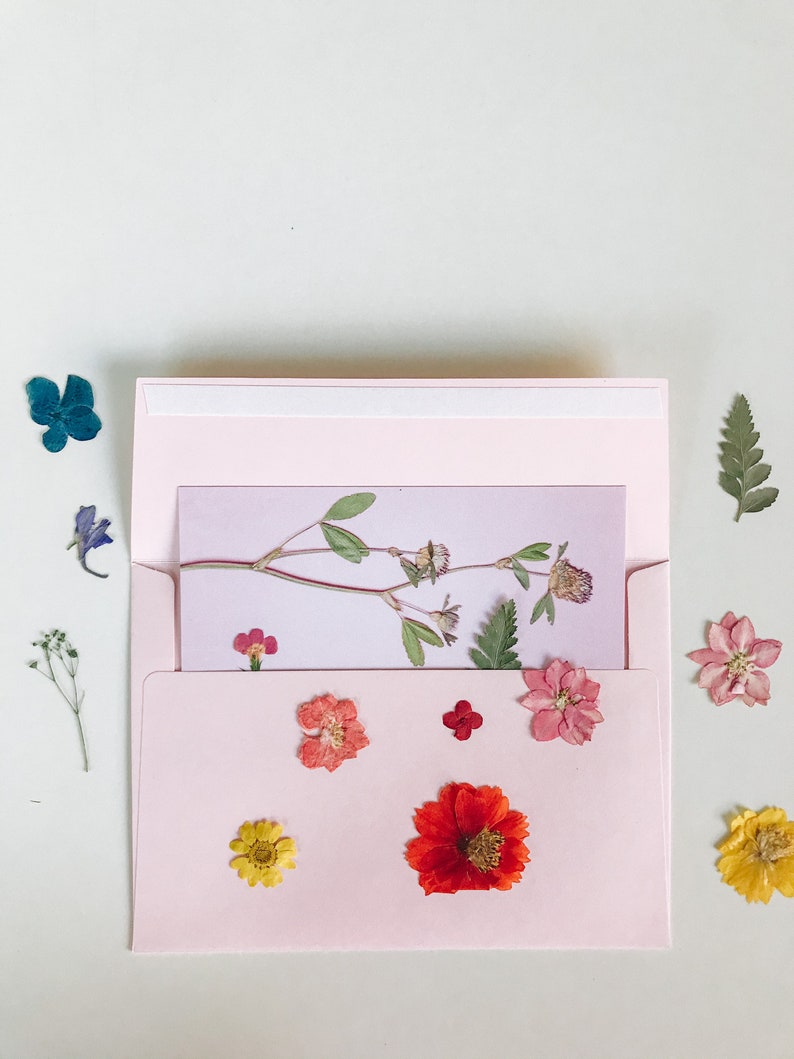Pressed Flowers Pack With Pink Flower Greeting Card, Dried Flowers - Etsy
