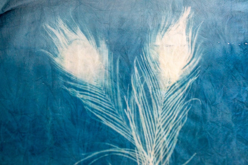 DIY Kit, Cyanotype Photo Printing Tea Towels & Cotton Napkins Craft Kit ...