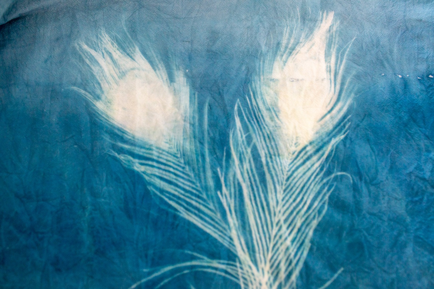 DIY Kit, Cyanotype Photo Printing Tea Towels & Cotton Napkins Craft Kit ...