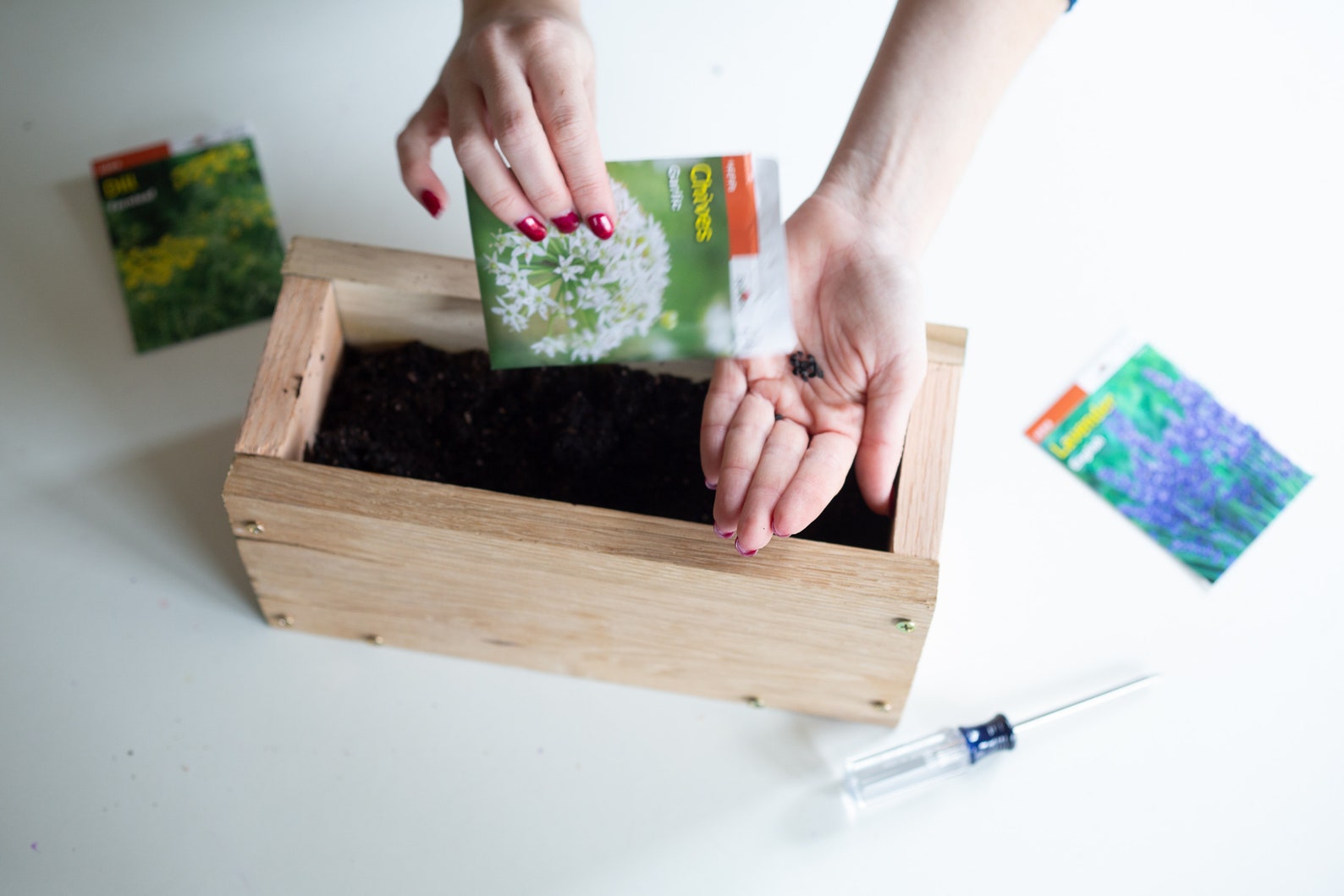 DIY Kit Herb Starter Gardening Kit With Wood Planter Box - Etsy
