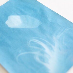 DIY Kit, Sunprints Cyanotype Photo Paper Kit (8x10 Sheets) - Etsy
