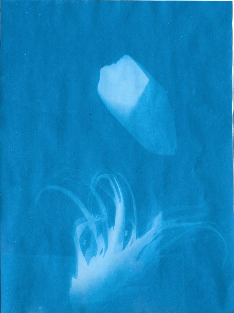 Liquid Cyanotype by Photographers Formulary - Etsy
