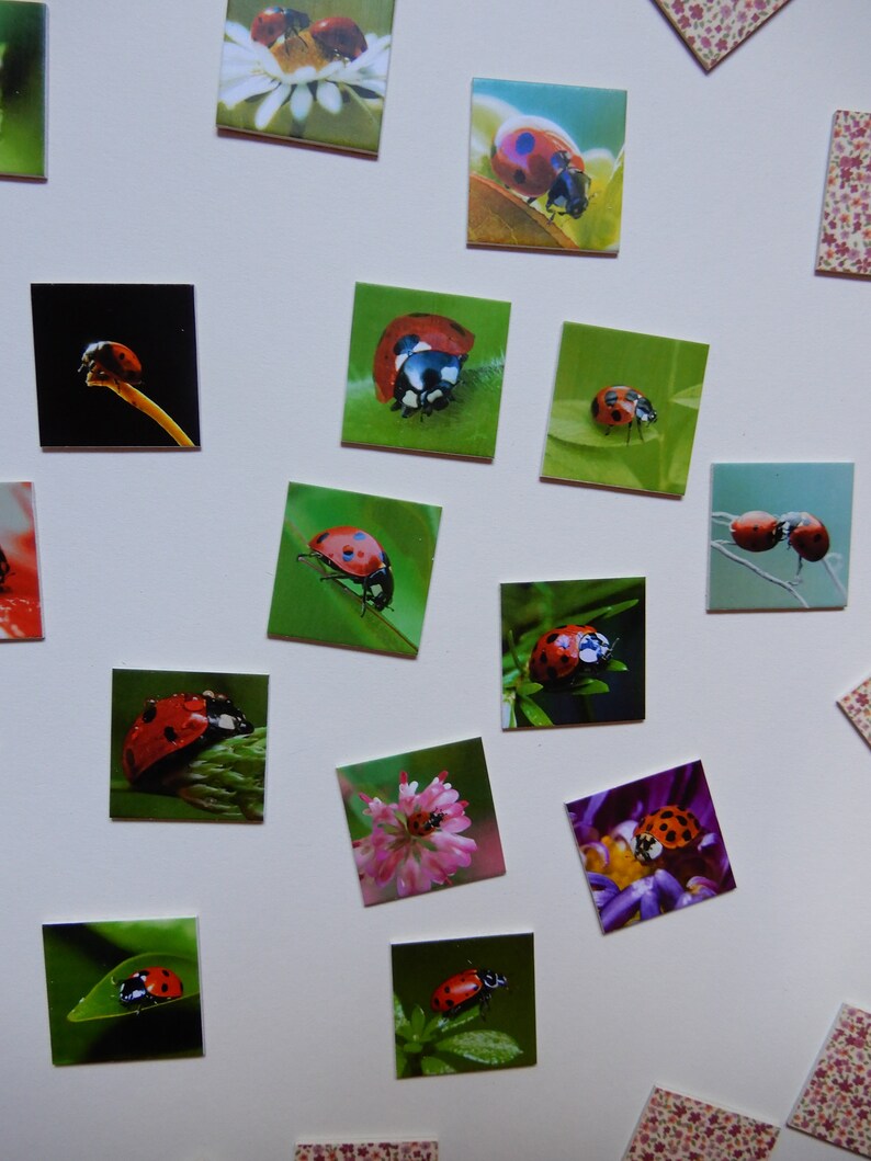 Memory Game Lady Bugs Pictures Matching Game | Etsy