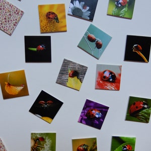 Memory game lady bugs pictures matching game | Etsy