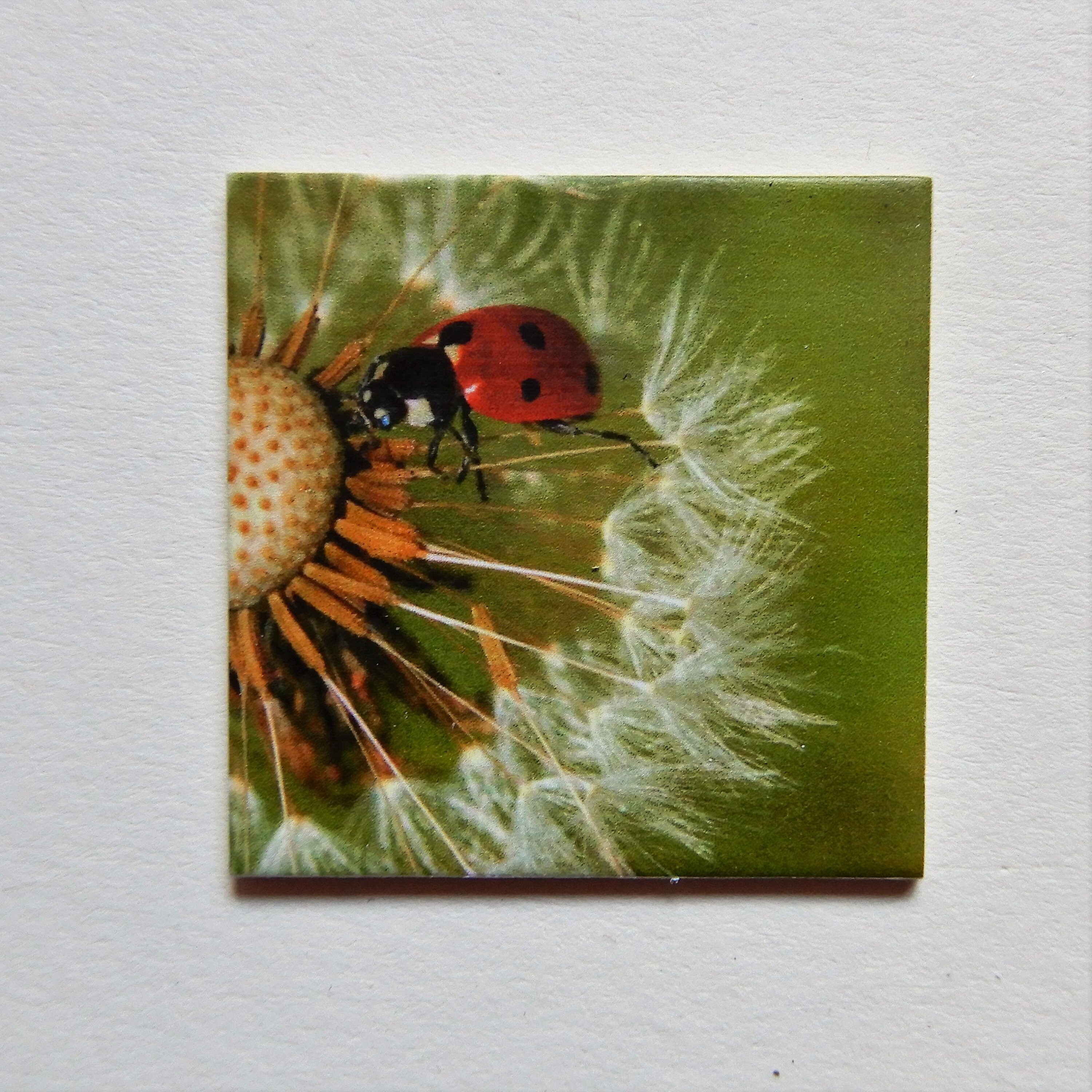 Memory Game Lady Bugs Pictures Matching Game - Etsy