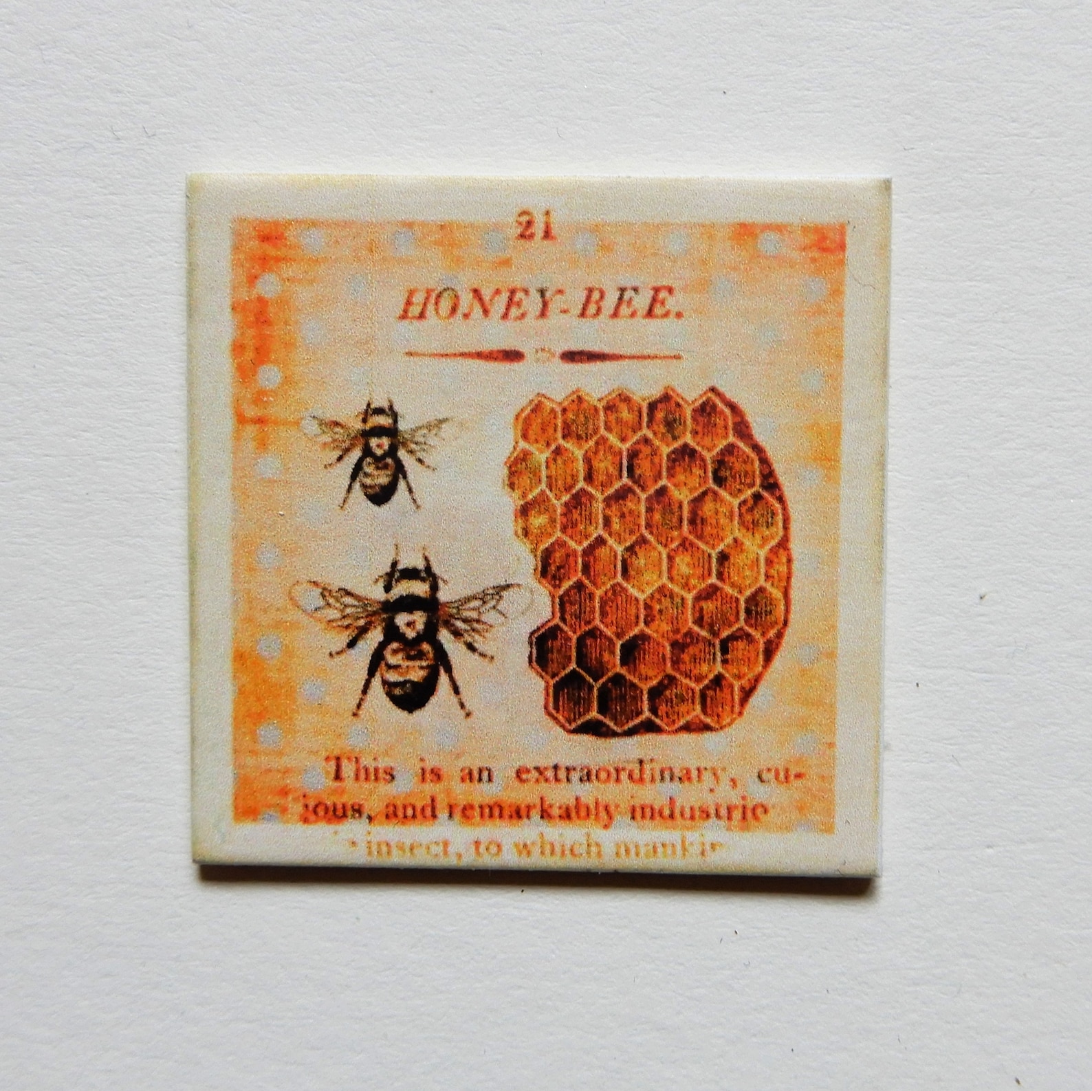 Memory Game Vintage Bees Honey Pictures Matching Game - Etsy