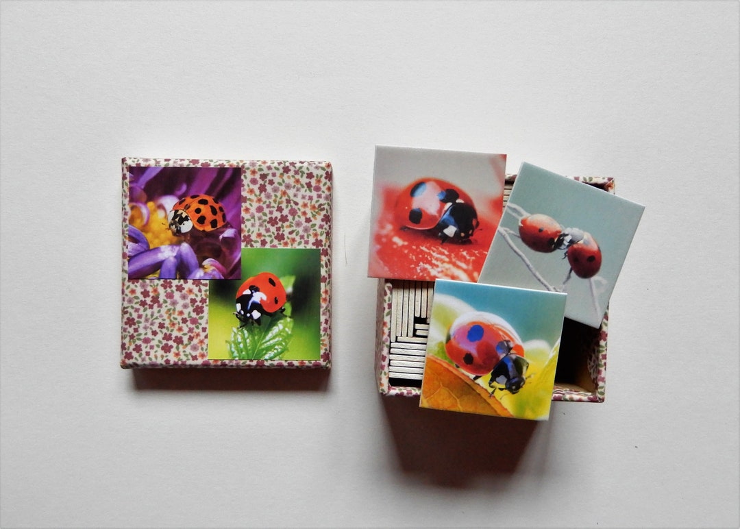 Memory Game Lady Bugs Pictures Matching Game - Etsy