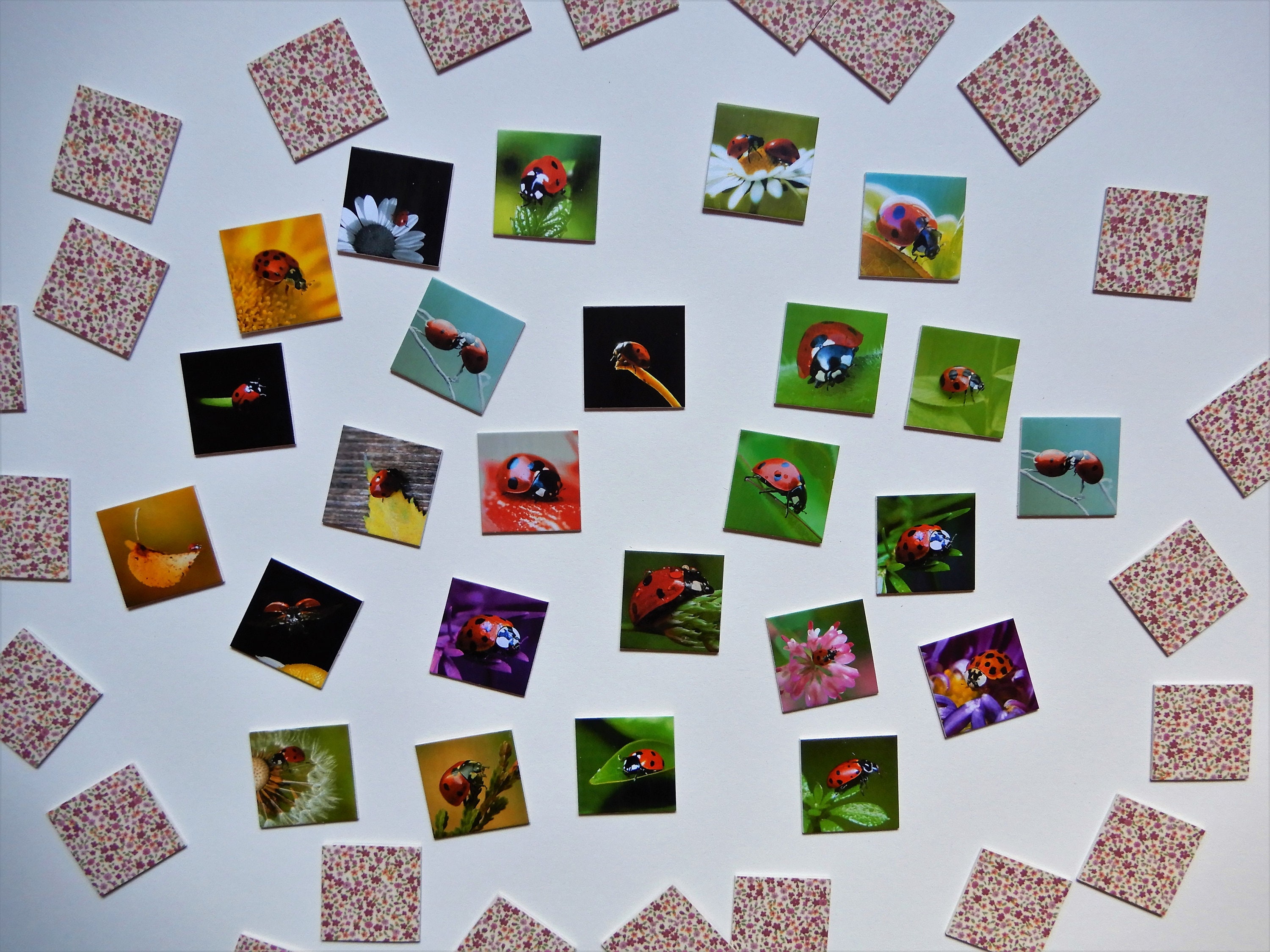 Memory Game Lady Bugs Pictures Matching Game - Etsy