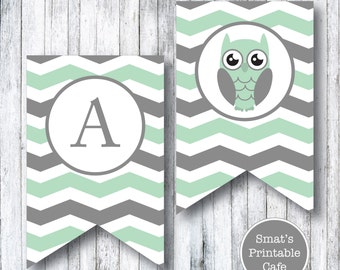 Mint Green Chevron | Etsy