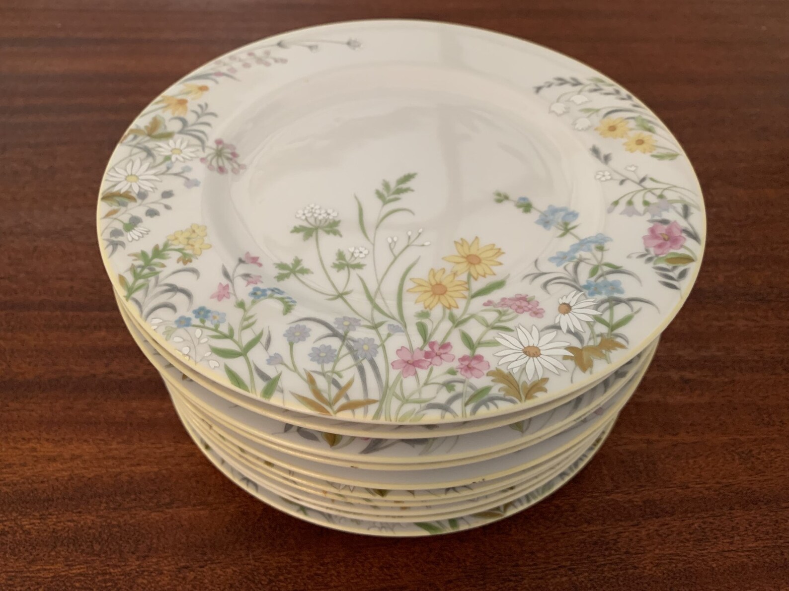 WELLIN FINE CHINA 5786 Petite Jardin Salad Plate - Etsy