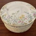 WELLIN FINE CHINA 5786 Petite Jardin Salad Plate - Etsy