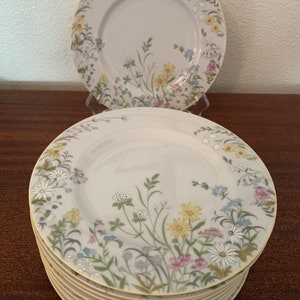 WELLIN FINE CHINA 5786 Petite Jardin Salad Plate - Etsy