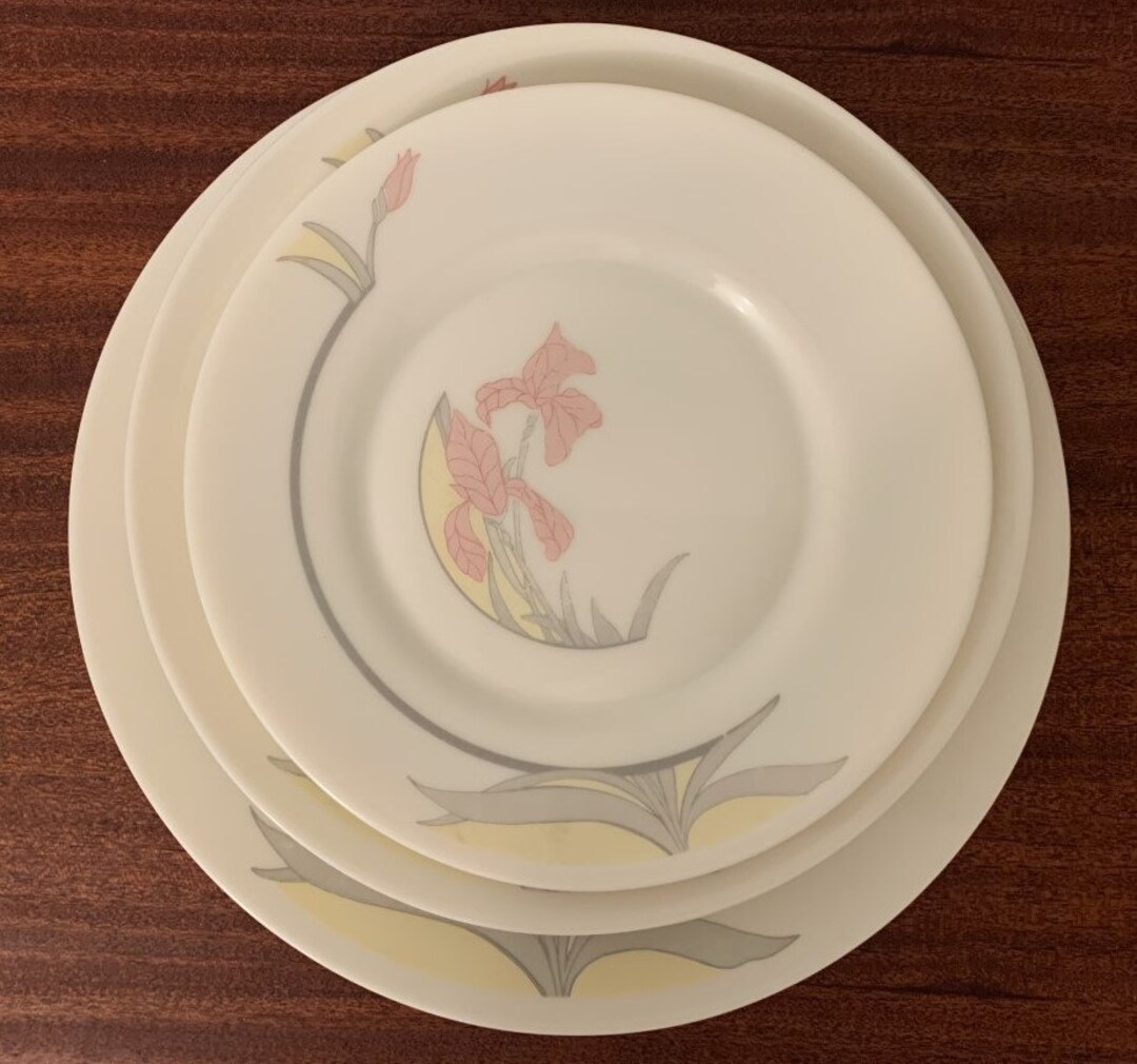 Vintage Arcopal diana 12 Pc Dinnerware Set - Etsy