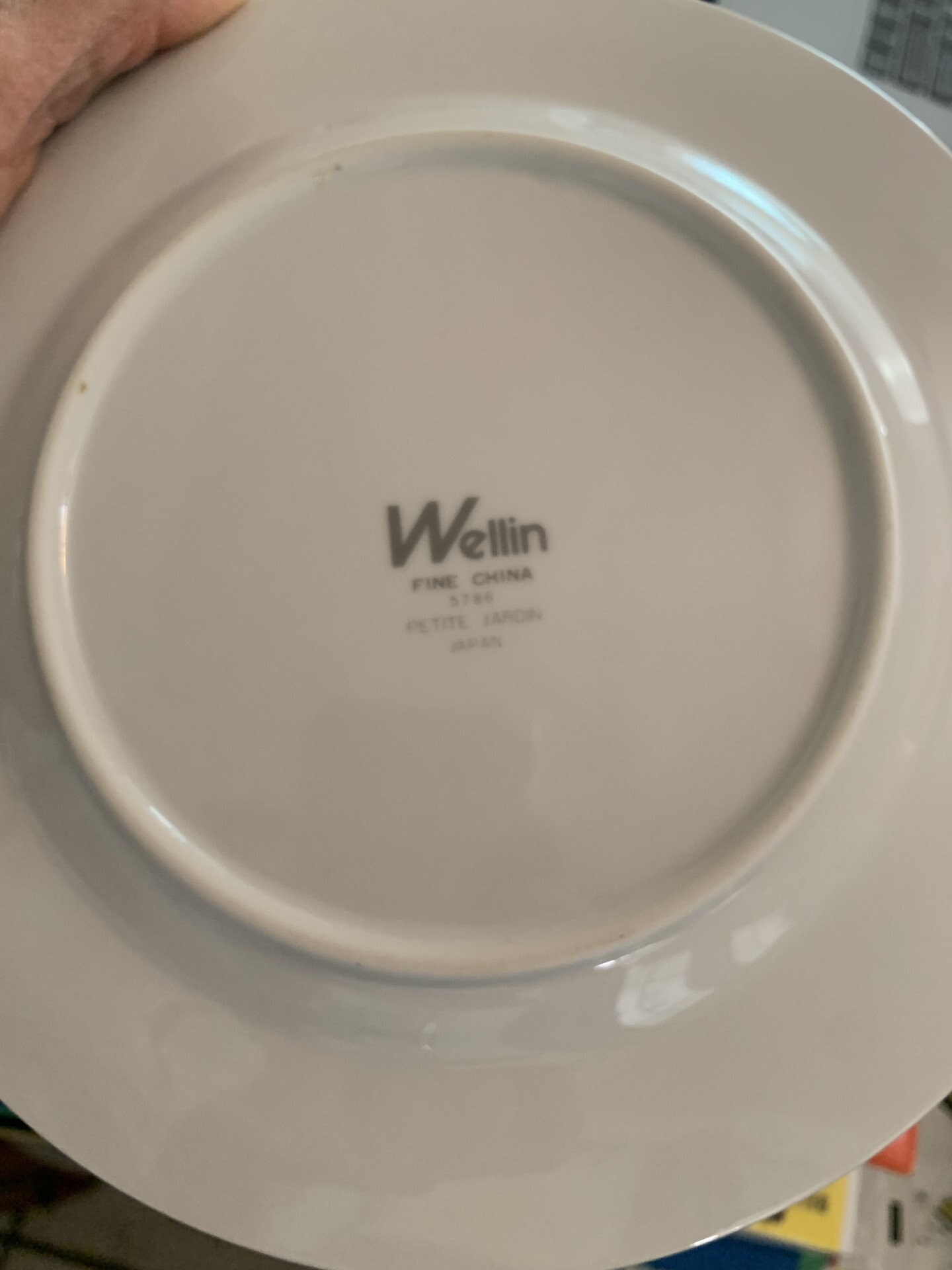 WELLIN FINE CHINA 5786 Petite Jardin Salad Plate - Etsy