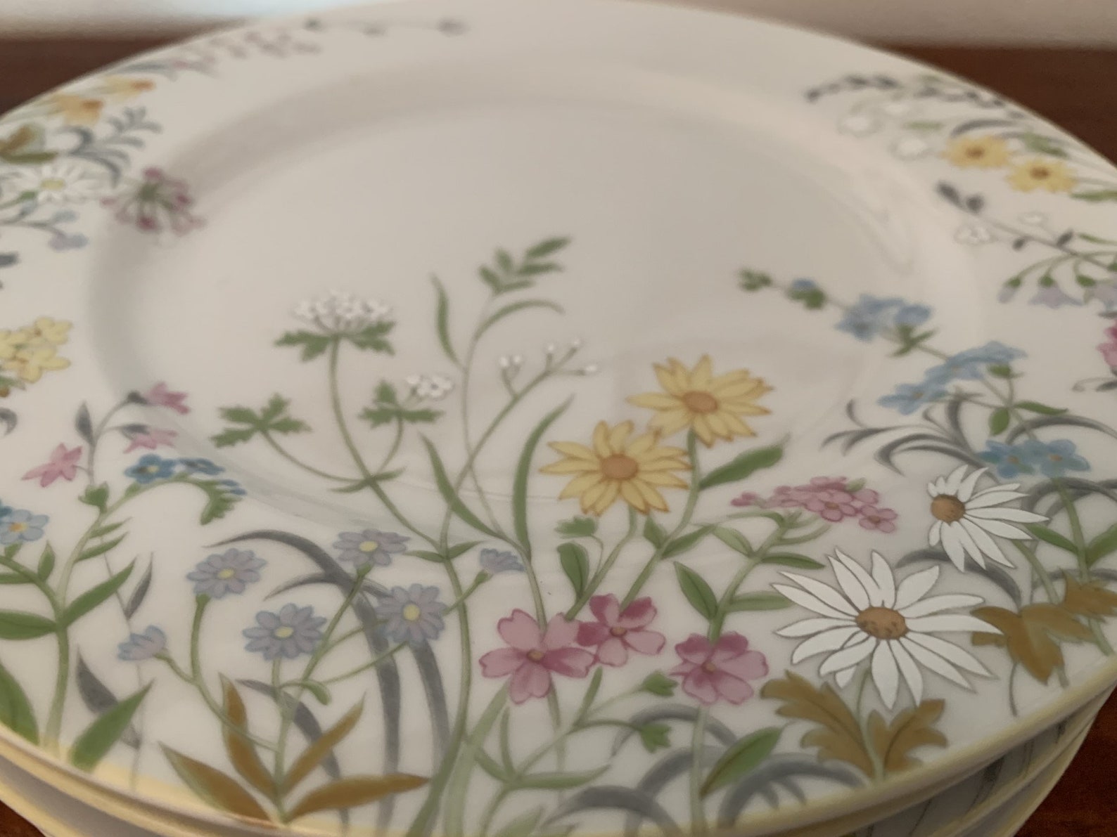WELLIN FINE CHINA 5786 Petite Jardin Salad Plate - Etsy