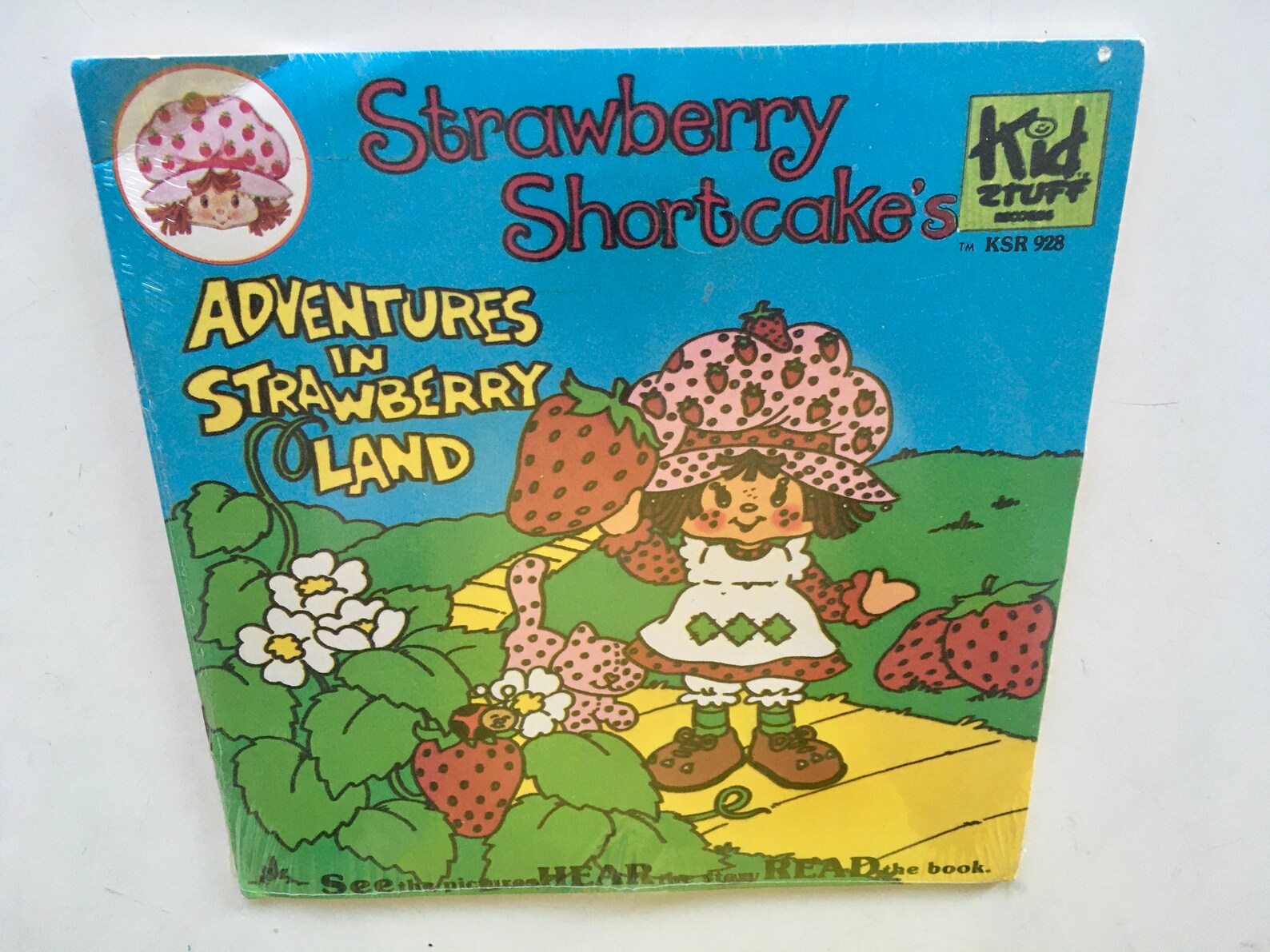 Strawberry Shortcake's Adventures in Strawberry Land SEALED 7' Vinyl ...