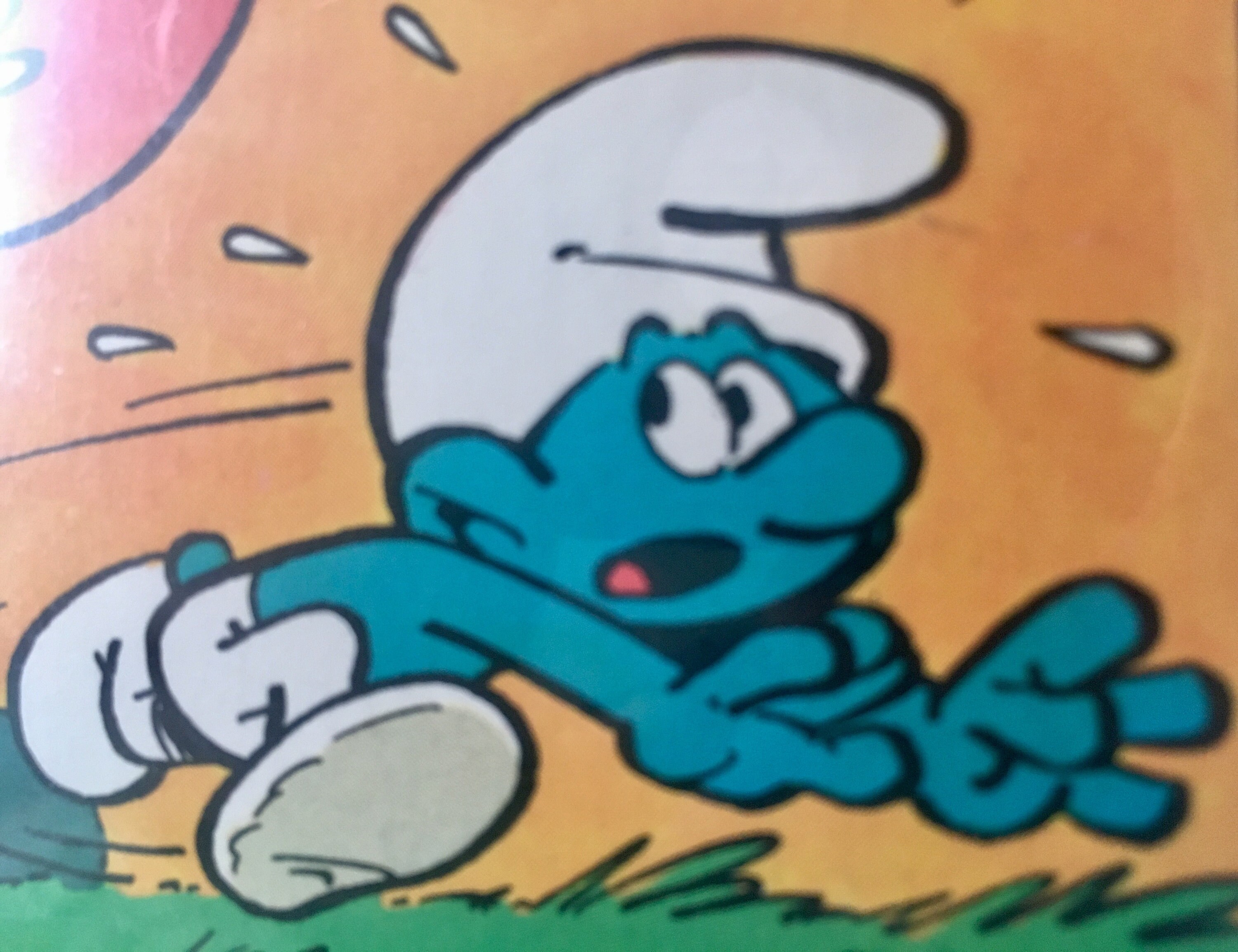 The Smurf-eating Bird SEALED 7' Vinyl Record / Book - Etsy
