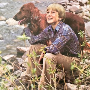 Ricky Tanner - River of Song LP Vinyl Record Album, Bonneville ...