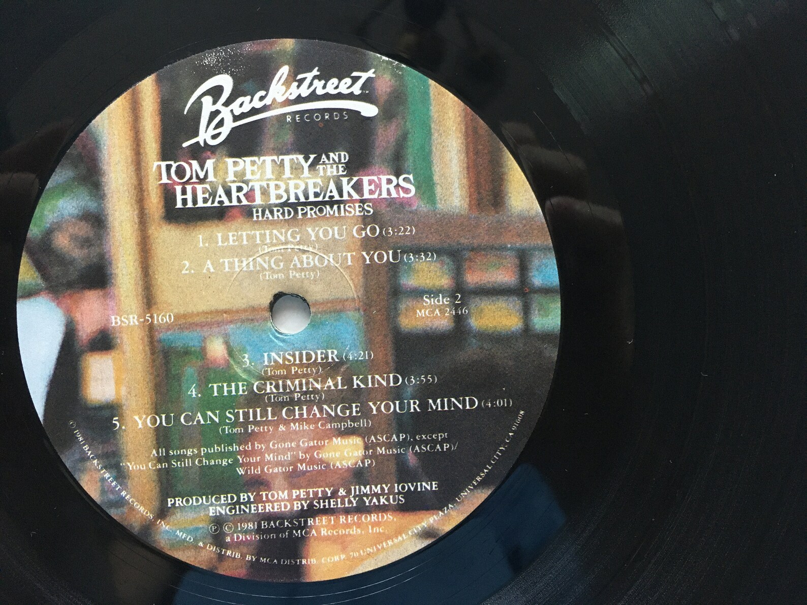 Tom Petty and the Heartbreakers Hard Promises LP Vinyl - Etsy