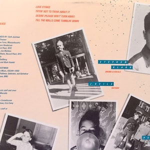 The J. Geils Band Love Stinks LP Vinyl Record Album, EMI America ST ...