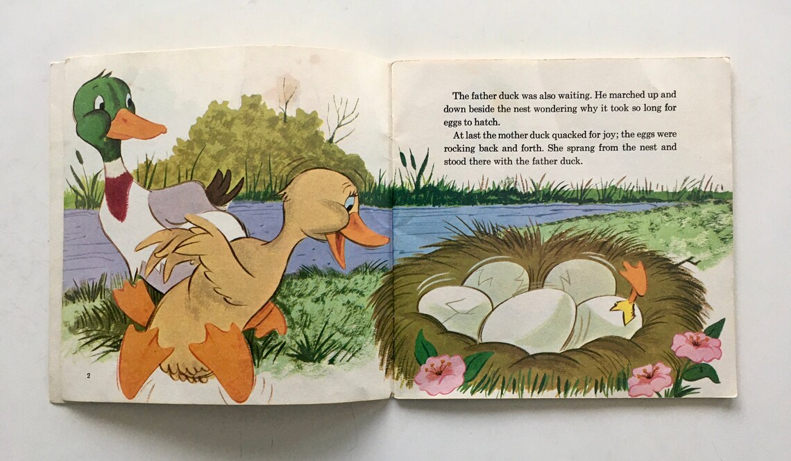 The Ugly Duckling 7' Vinyl Record / 24 Page Book - Etsy