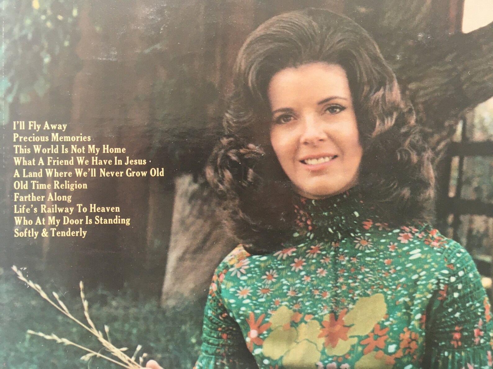 Susan Raye Hymns by Susan Raye LP Vinyl Record Album | Etsy