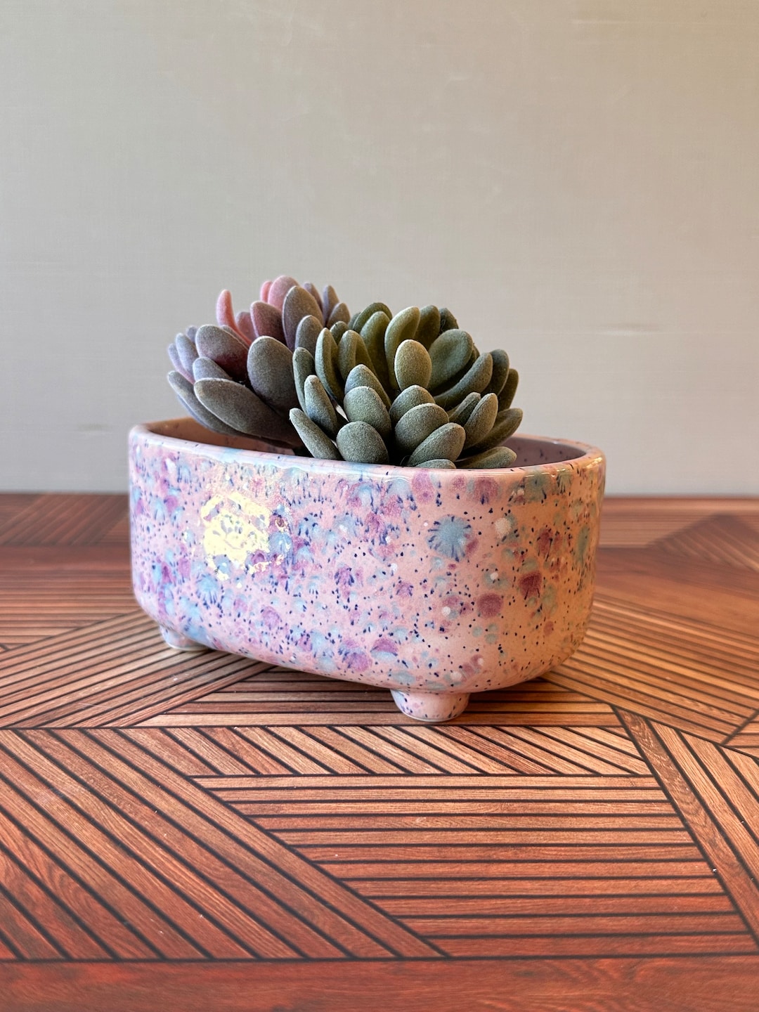 Rectangular Ceramic Succulent Planter Pot 6" Pink Pixie - Etsy
