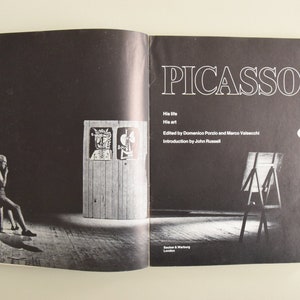 Vintage Book Picasso, His Life His Art Edited by Domenico Porzio and ...