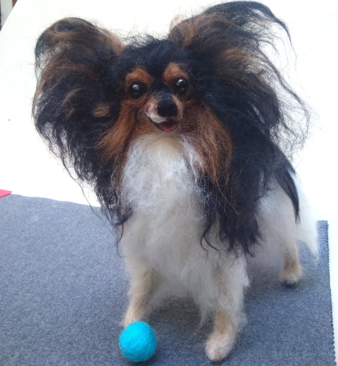 Custom Needle Felted Papillon, Flexible Dog Sculpture: Pet Loss Rainbow ...