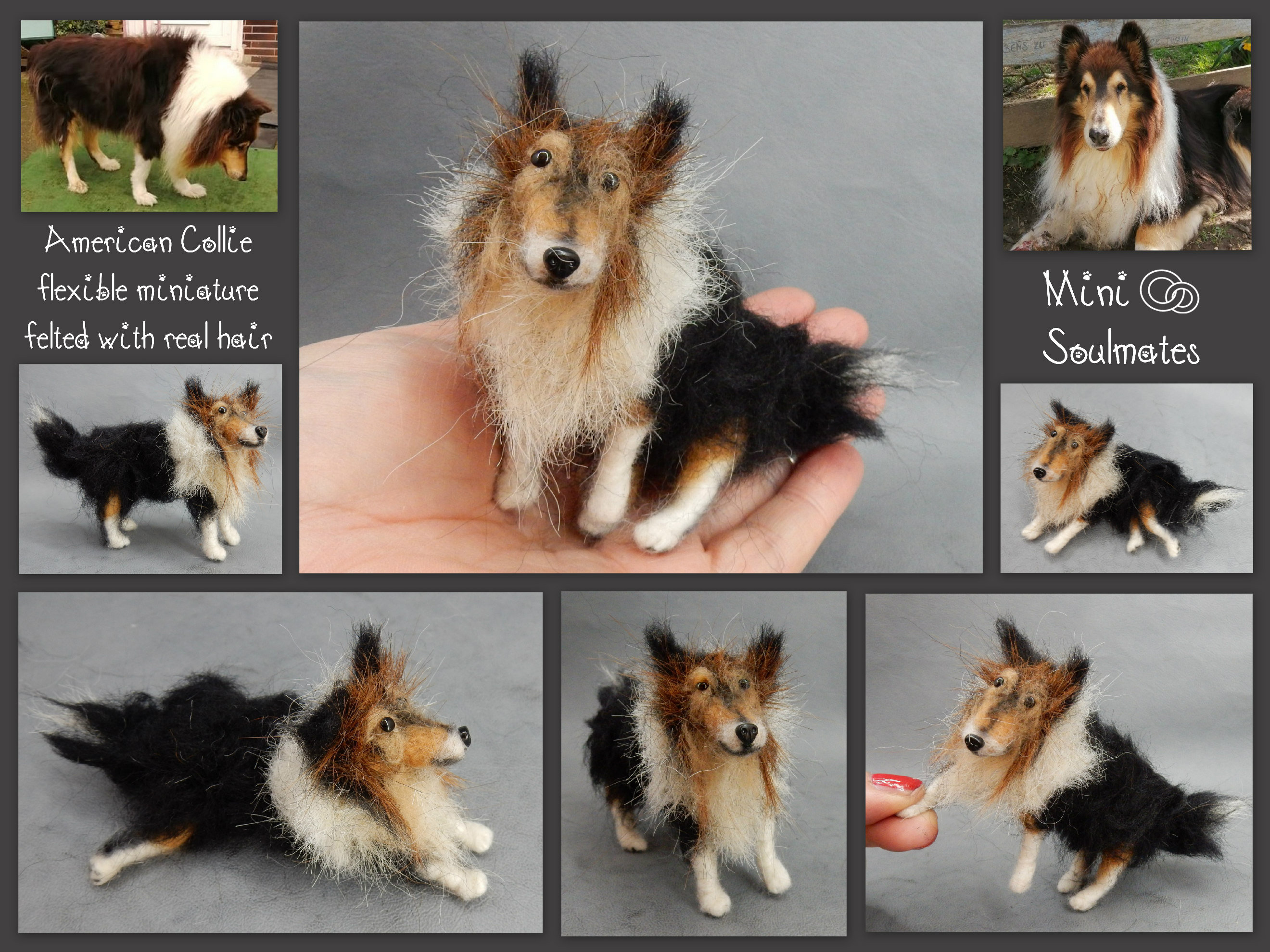 Mini Collie