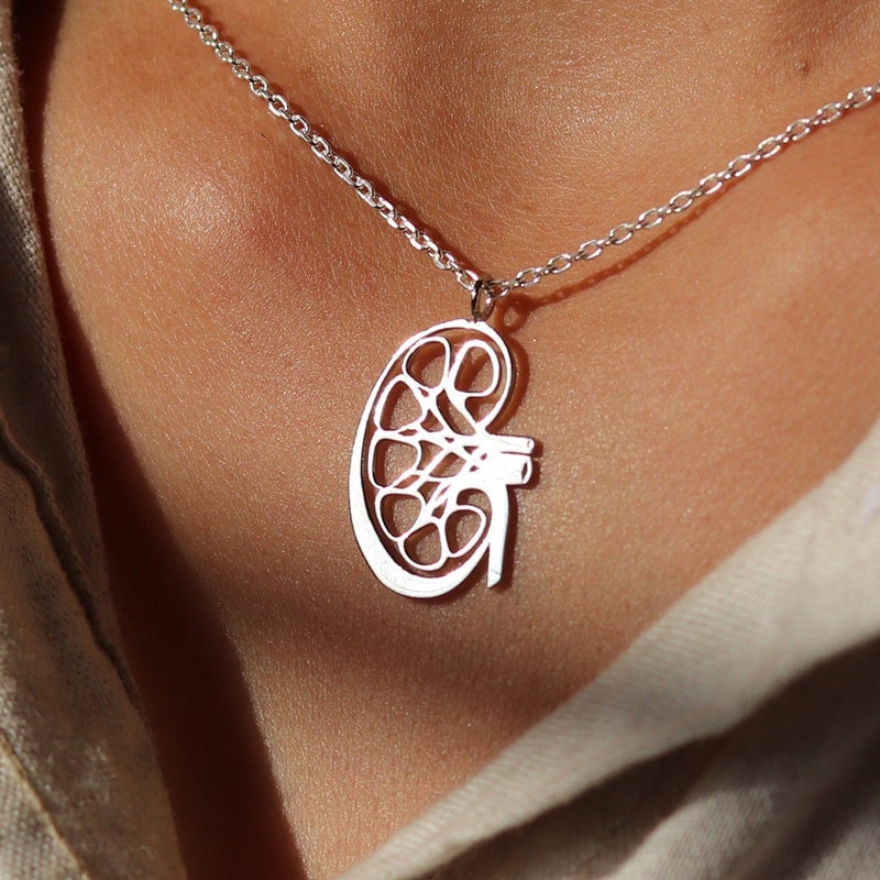 Kidney - Etsy